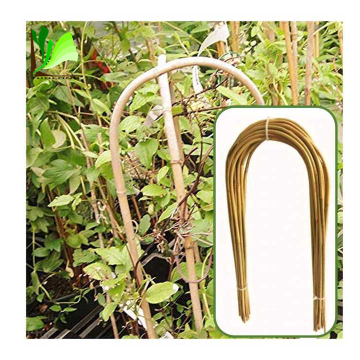 Bamboo U Hoops - Supportive Garden Plant Climbing Poles