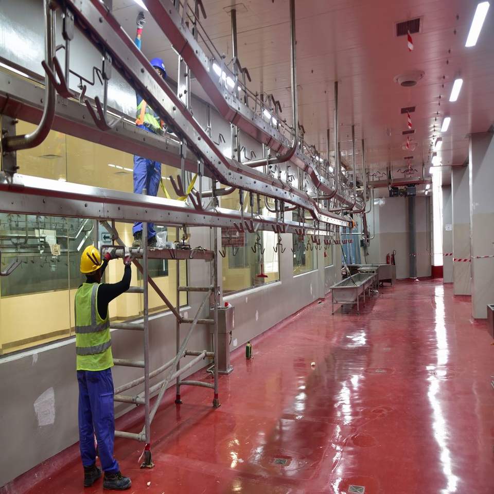 Sheep Skinning Machine for Sheep Slaughterhouse Slaughtering Equipment ...