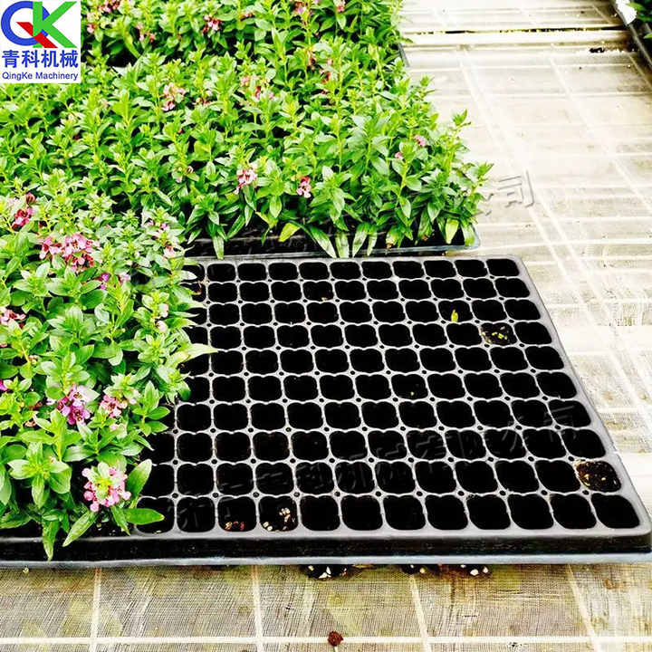 T0926 2025 Top Sales Automatic Seed Tray Seedling Machine Nursery Trays ...