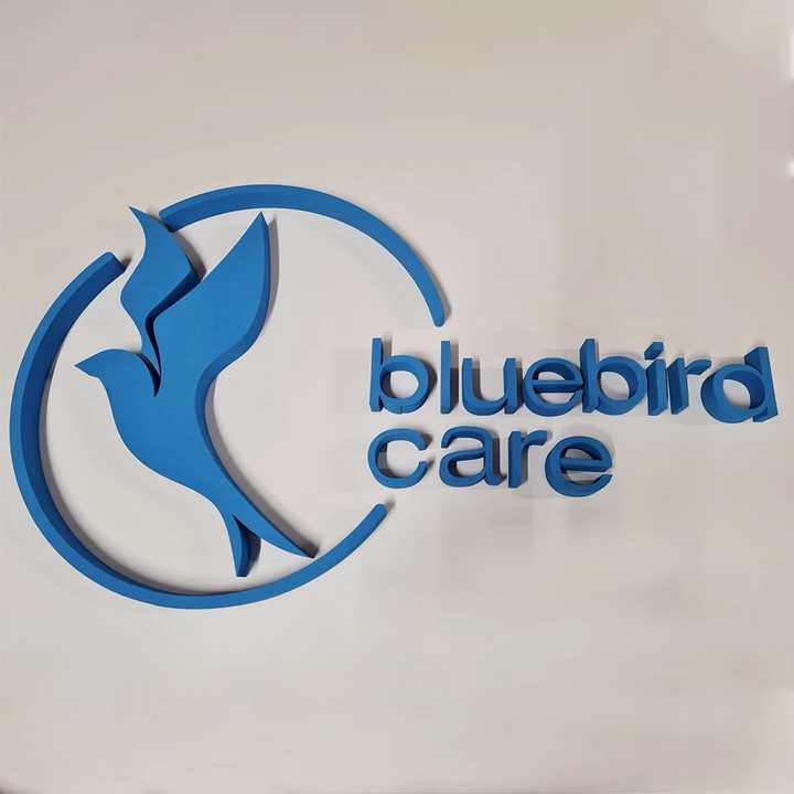 Acrylic Store Wall Logo Sign Company Business Logo Sign