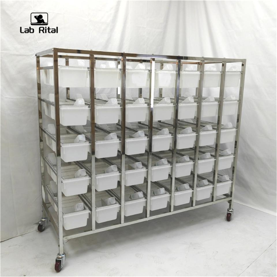 Laboratory Rat Cages With Stainless Steel Rack Lab Mice Cage Rack ...