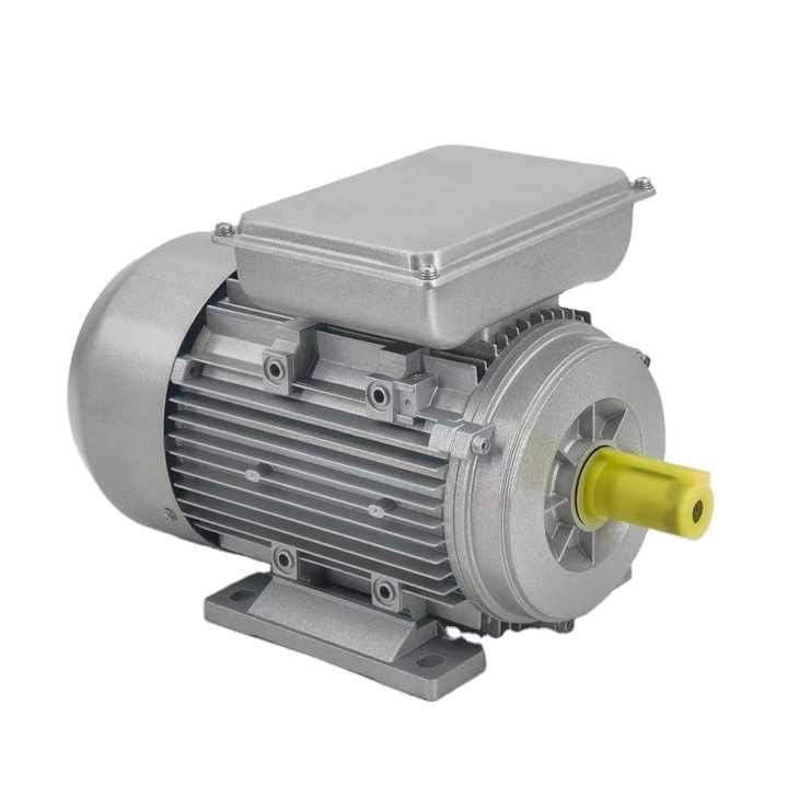 YC YL Series 220V AC Motors Single-Phase 0.25kw to 3.75kw Low Noise Induction Electric Ac Motor ...