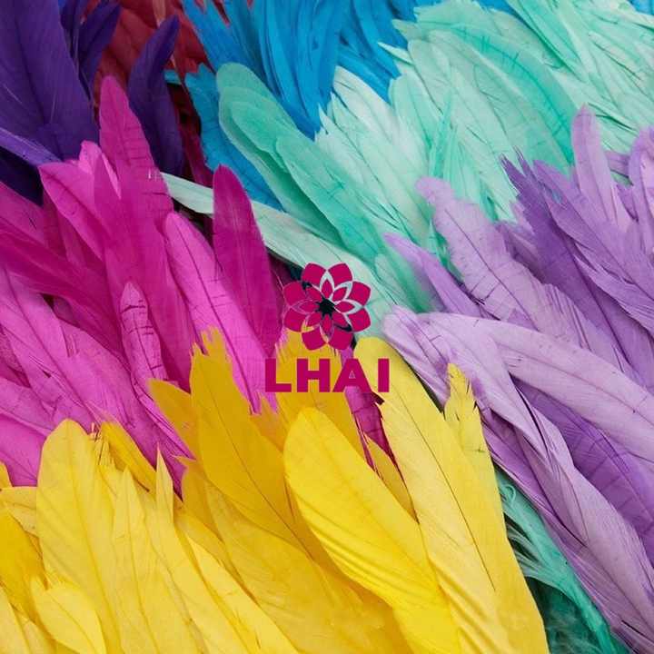Carnival Decoration Dyed Colors Rooster Tail Feathers Coque Chicken ...
