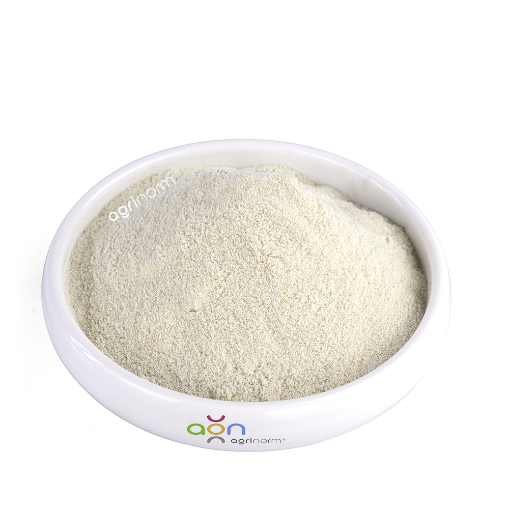 How to Choose the Best Essential Amino Acid Powder: A Complete Buying Guide
