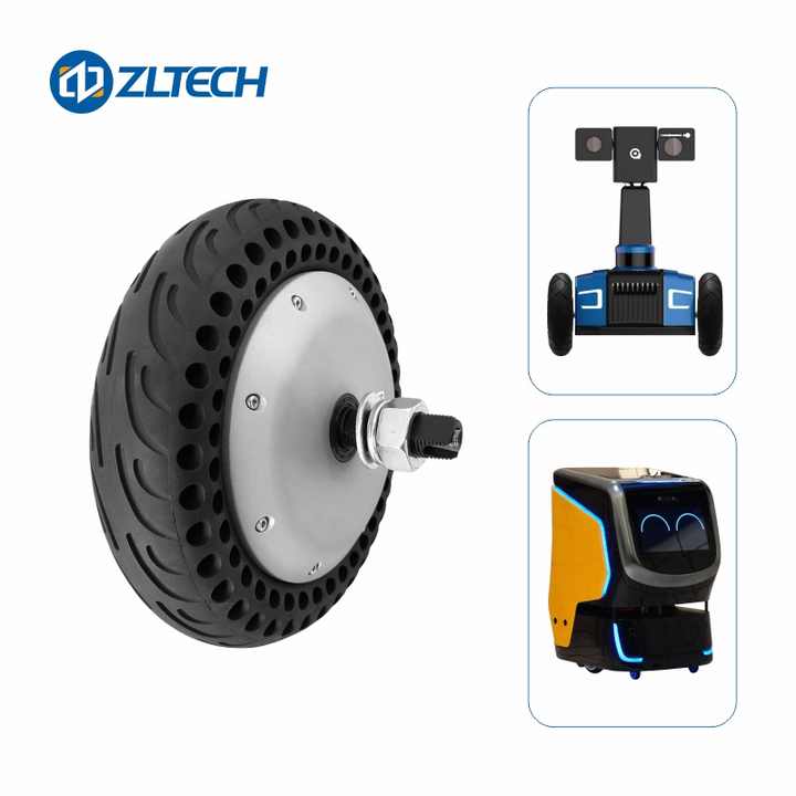 AGV Low Speed High Torque Wheel Motor 10inch 48V 800W Hub Motor 20N.m ...