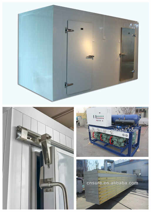 Best Quality Meat Cold Room,Seafood Cold Storage ,Freezer Cold Room for ...