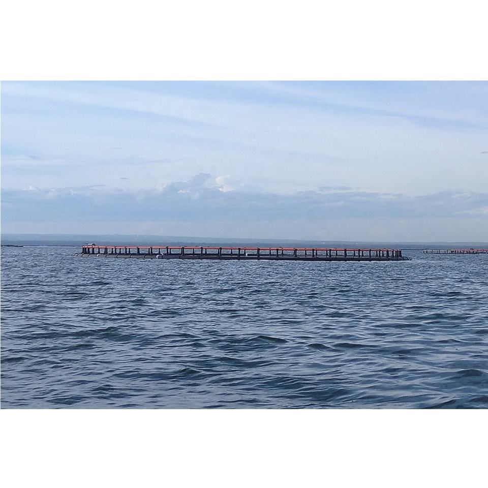 HDPE Floating Aquaculture Trap for Tuna Fish Farming| Alibaba.com