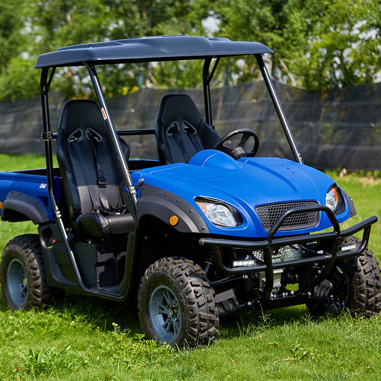 Customized EEC 4x4 Electric UTV - Ideal for Farm & Adventure