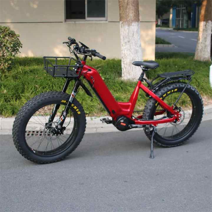 Step Thru Electric Dirt Bike with Hub ROHLOFF 14 Speeds Belt Drive and 1000W Mid Motor Electric ...