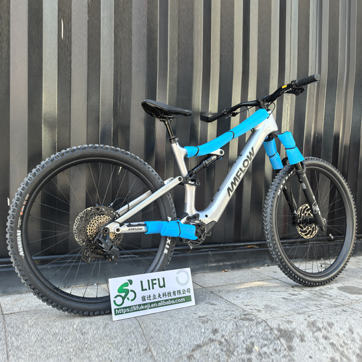 Amflow PL Carbon E-Bike Central Motor 1000W 800Wh Lithium Battery 6 ...