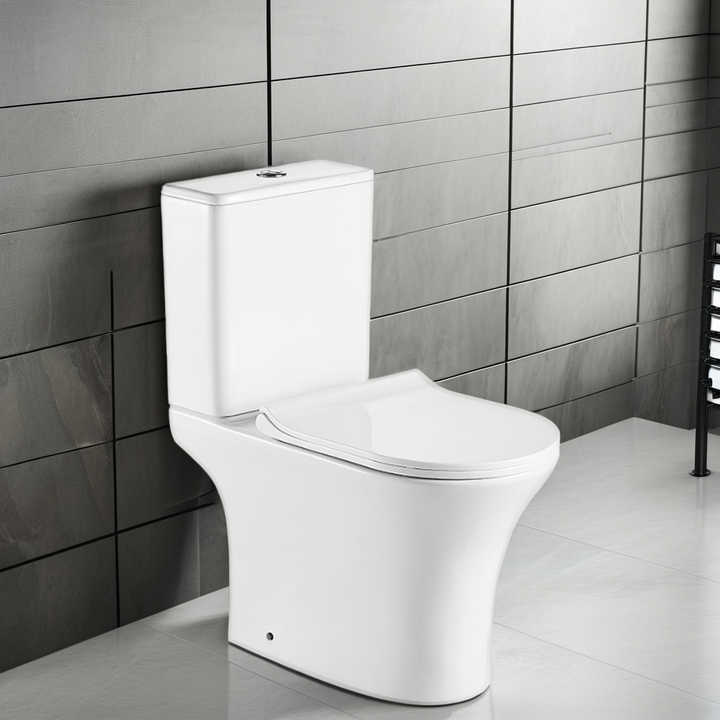 Custom Dual Flush Elongated Comfort Height WC Wall-mounted Sanitary ...