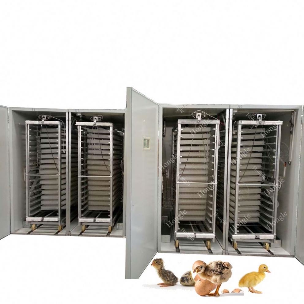 Efficient Hatching Solutions with Advanced 300 eggs chicken solar ...