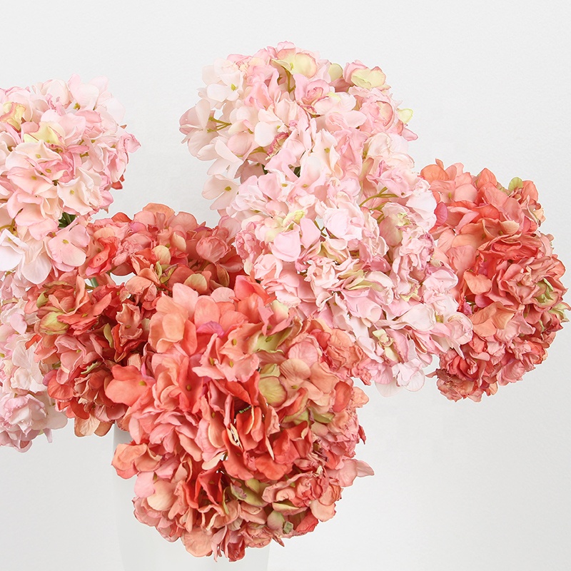 Types Of Hot Pink Flowers