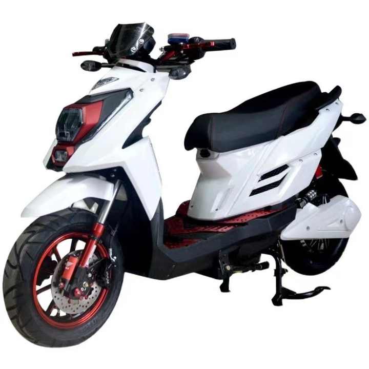 2024 Customizable 3000W Electric Moped - off-Road Thrill