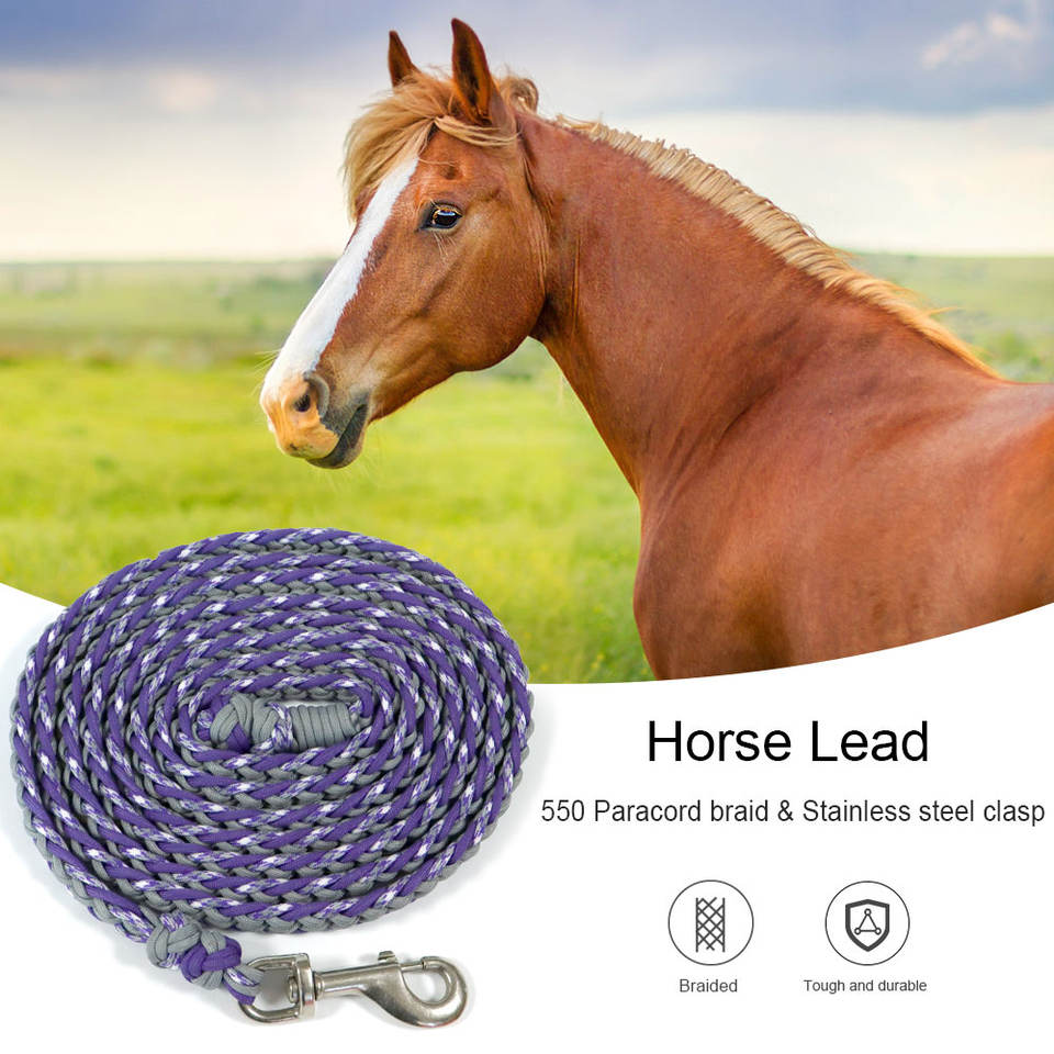 2026 Custom Large Horseware Leather Horse Bridle Braided Paracord Horse ...