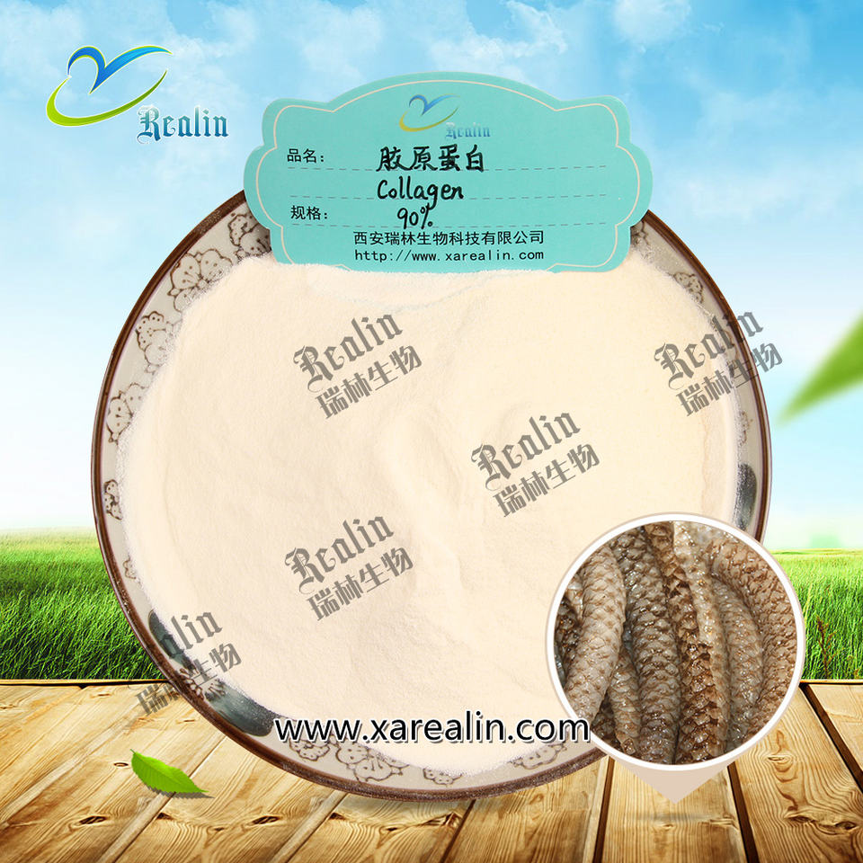 Marine Collagen Powder Deep Sea Fish Skin Care 90% Fish Collagen Powder ...