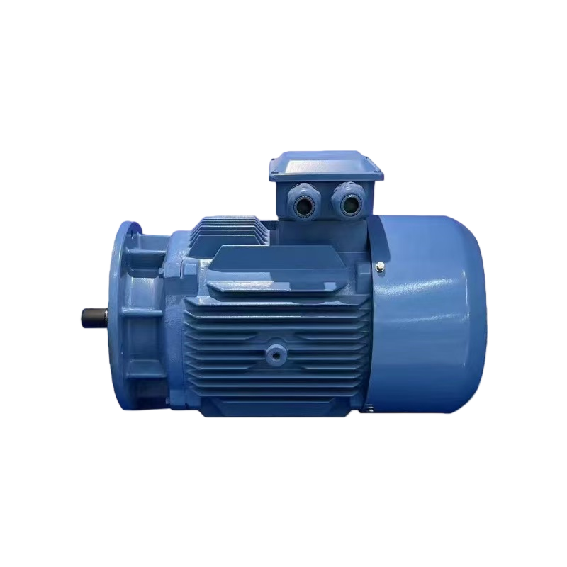YE3 Series Variable Frequency Motor with Constant Torque and Energy ...