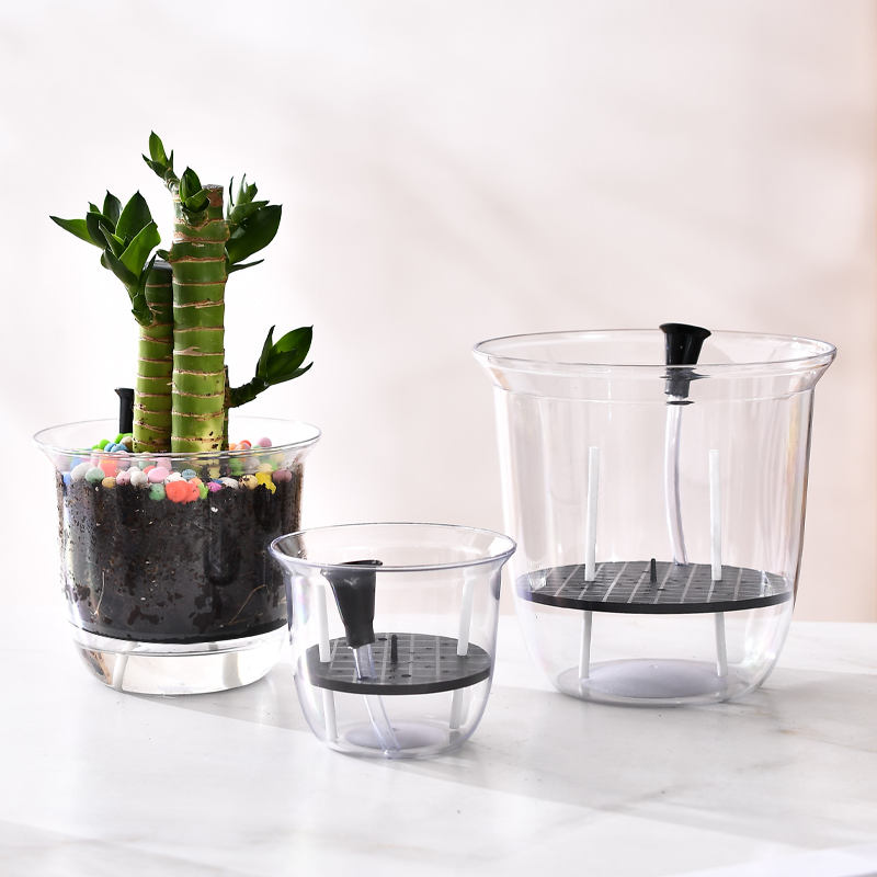 How to Choose the Best Naked Root Self Watering Planter: A Complete Guide