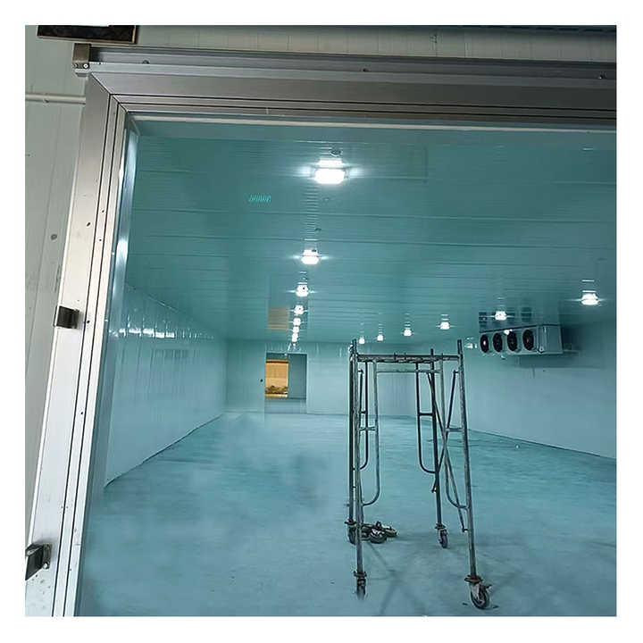 -18 Degree Low Temperature Cold Room Compact Refrigerated Cold Storage ...
