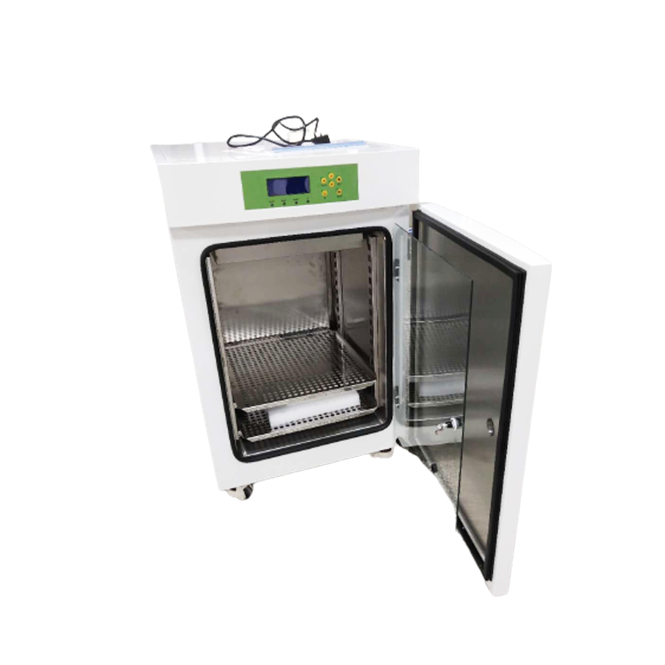Biological Anaerobic Incubator Workstation