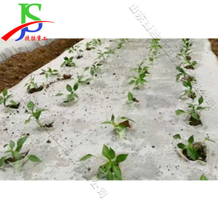 Self-propelled Seedling Planter Seedling Planting Equipment Vegetable ...