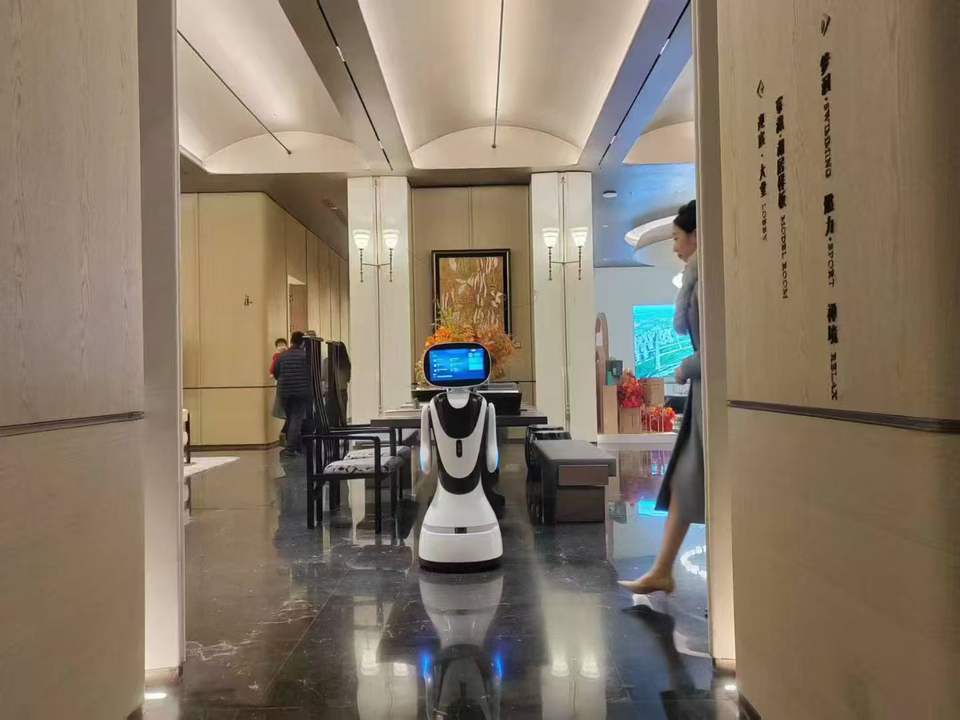 DefiLabs High Quality Multifunction Humanoid Intelligent Service Robot ...