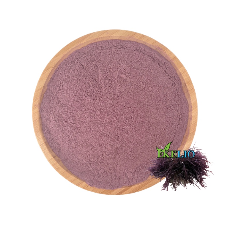 How to Choose the Best Seaweed Powder Dulse: A Complete Buyer's Guide