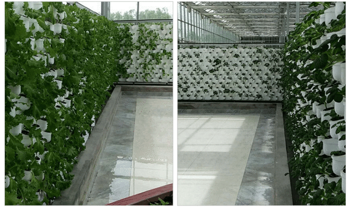Greenhouse Indoor Plant Vertical Hydroponia Tower Growing Systems
