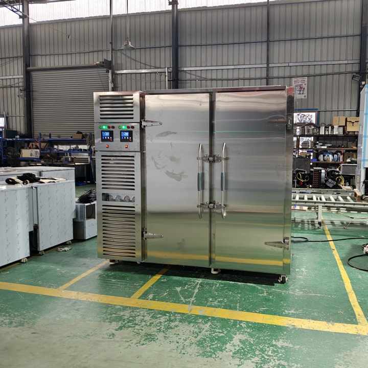 Cold Room Trailer Blast Freezer - High Productivity