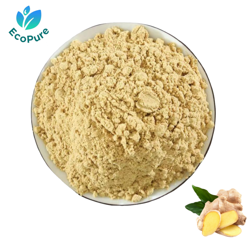 Dried Ginger Powder 100% Ginger-Premium Root Powder Pure Dry Ginger ...