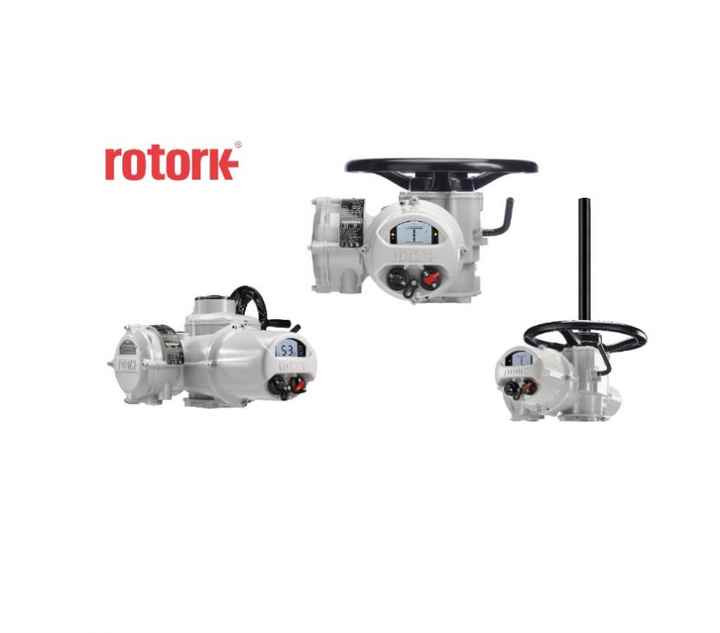 China Pneumatic Control Valve With Rotork Actuator Flowserve D20 Valve ...