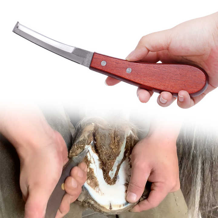 Veterinary Instrument Portable Farrier Tools Horse Hoof Knife Hoof ...