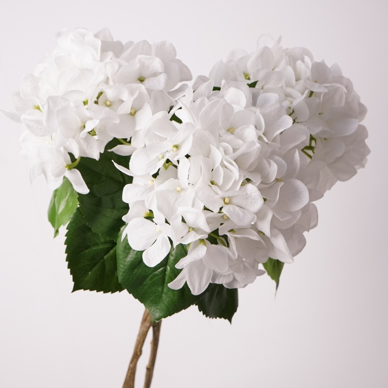 How to Choose Arrange Flowers: A Complete Buying Guide