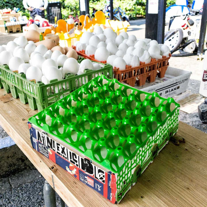 Customizable HDPE Egg Tray Crates Excellent Protection Durable Plastic ...