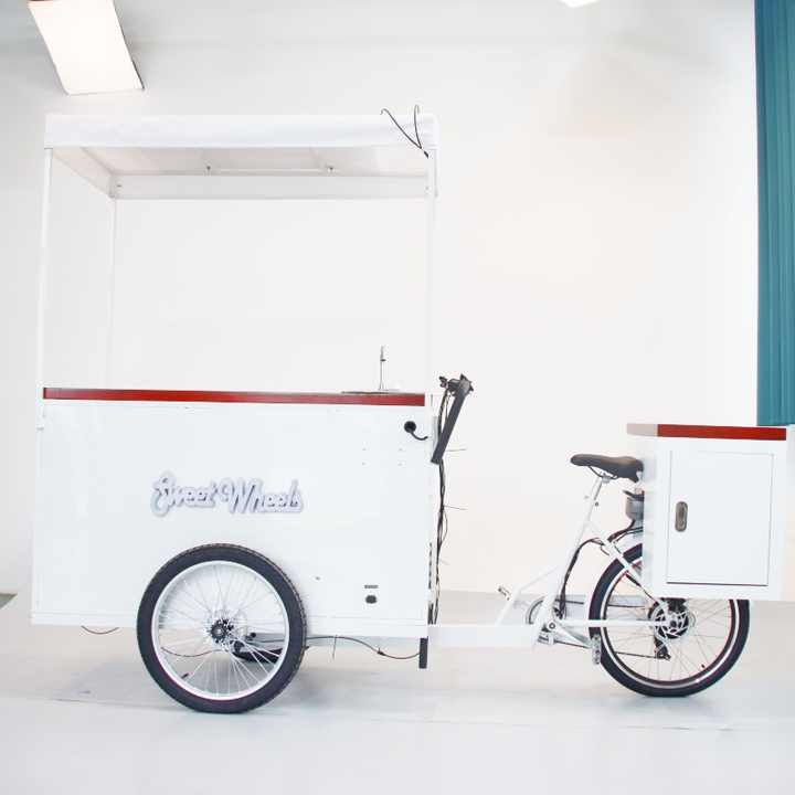 Mobile Retail Food E Bike Ice Cream Cart Bike Freezer Solar for Sale ...