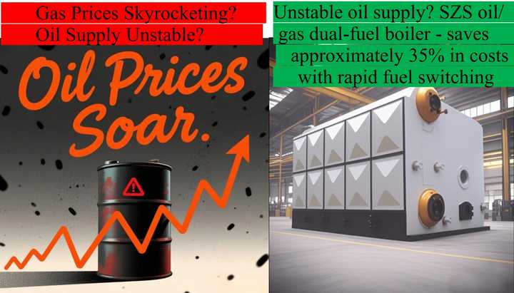 Faith Thermal Energy 2025 Popularity SZS Natural Gas HFO Heavy Fuel Oil ...