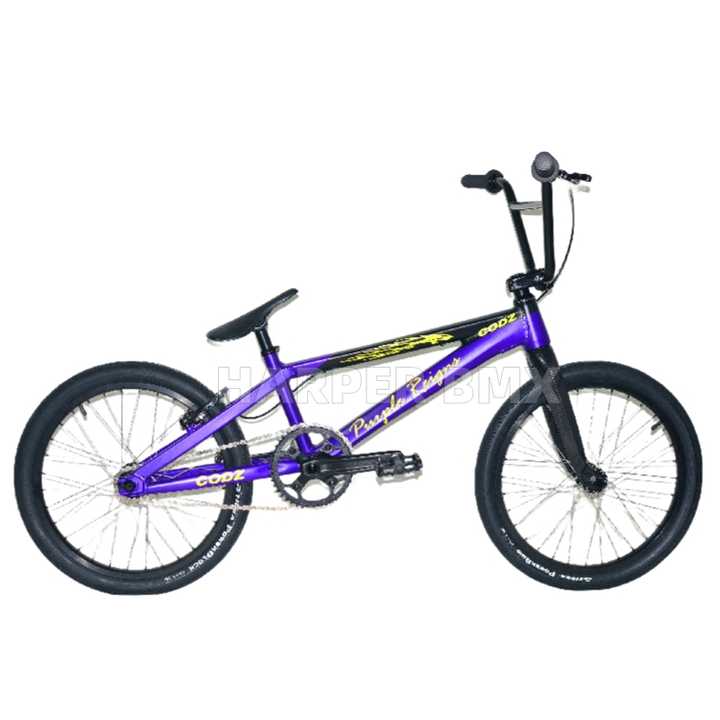 20 Inch Racing BMX Micro/Mini/Junior/Pro Complete Bicycles Made with Carbon Fiber Fork| Alibaba.com