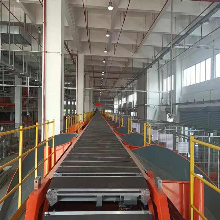 Narrow Belt Sorting Conveyor Machine - High Speed & Durable