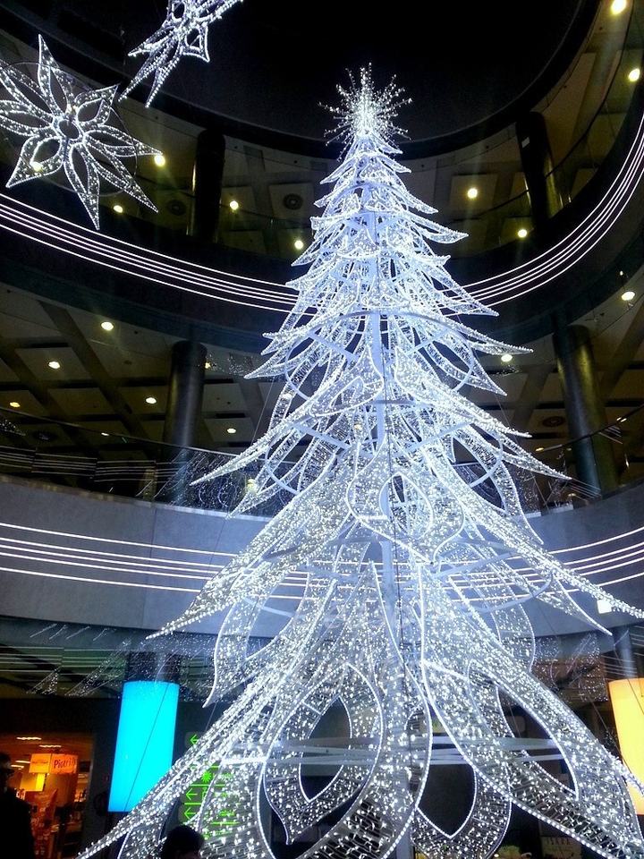 20ft 30ft 40ft 50ft Outdoor Christmas Trees - LED Lit Cones