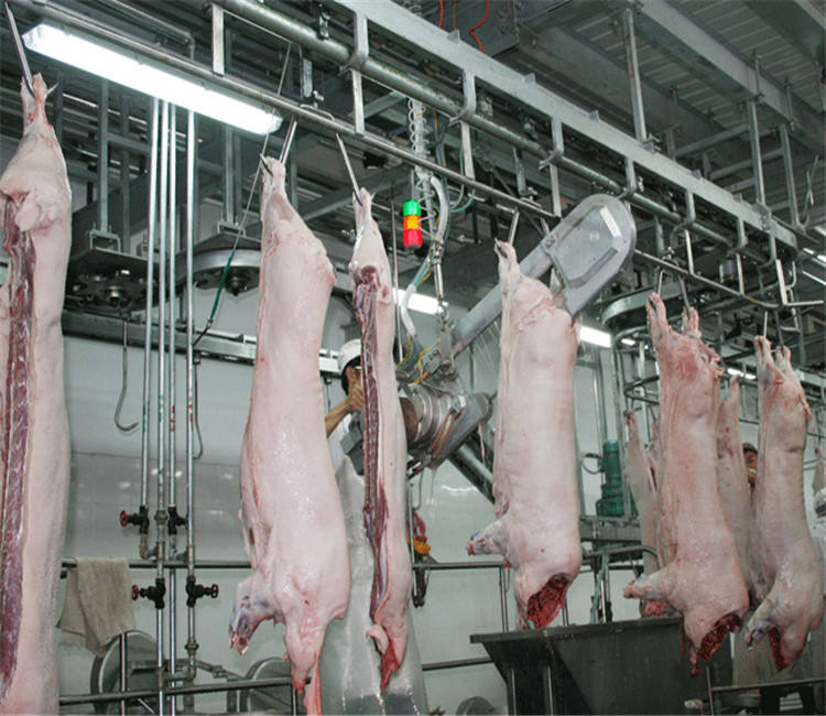 Automatic Cattle Abattoir Slaughter Line Beef Processing Plant Cow ...
