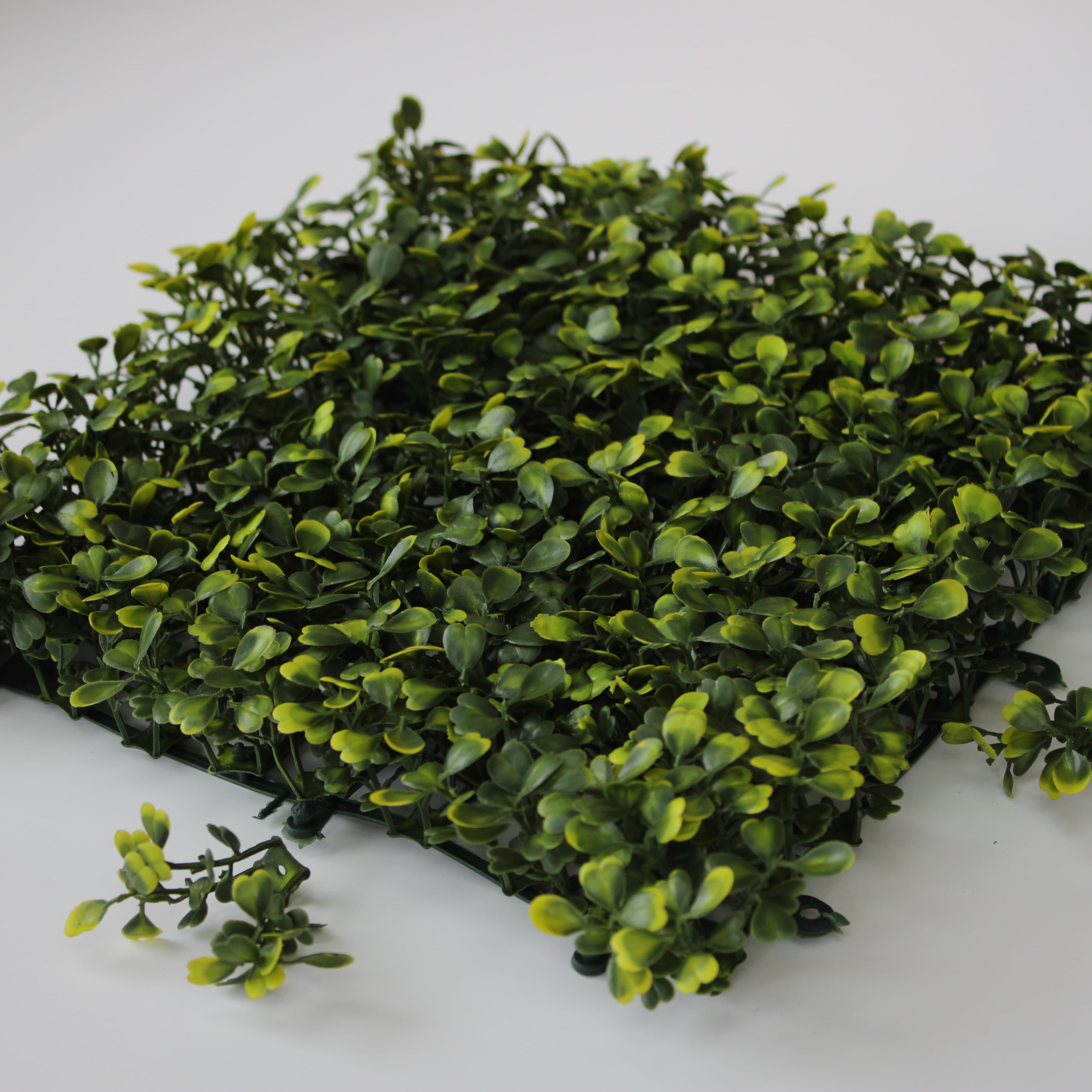 How to Choose the Best Wall Hedge for Your Space