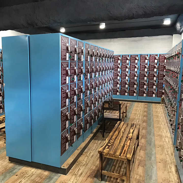 Custom Locker RFID Lock Smart Hpl Locker Electronic Lockers for Gym ...