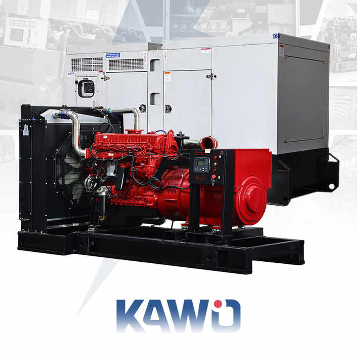 Silent Portable Diesel Generator Set 50/60Hz Auto Start 20A Rated ...