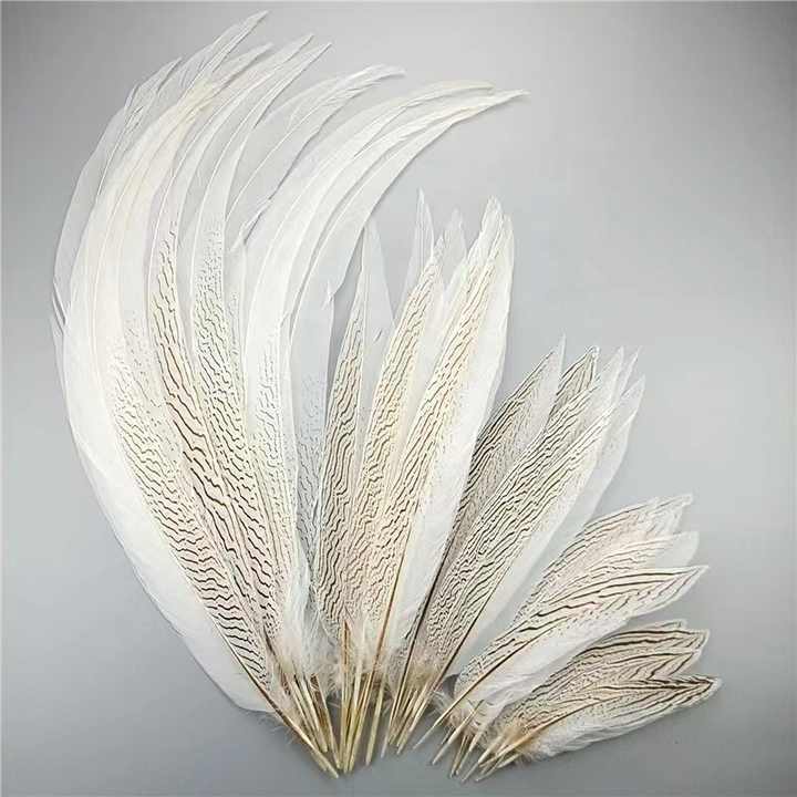 Hot Sale Natural Silver Pheasant Tail Feather for Carnival Decoration ...