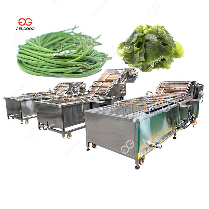 Gelgoog Vegetables Seaweed Kelp Washing Machine Seeweed Vegetable ...