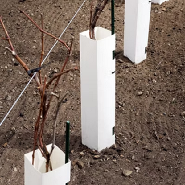 Double-sided Waxed Design Tree Protectors Carton Cardboard Tree Guard ...