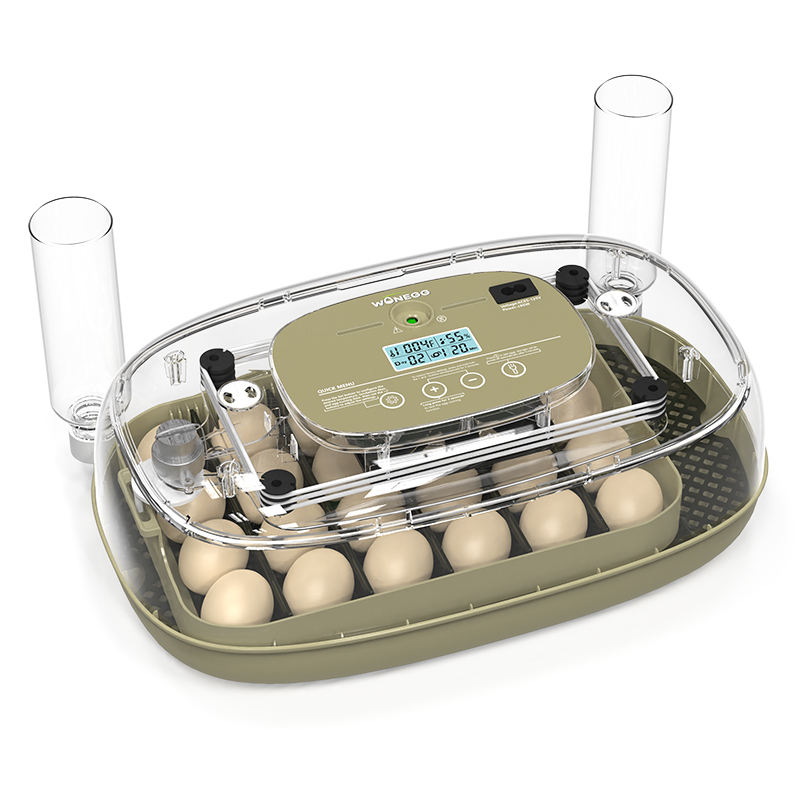 WONEGG 24 Automatic Egg Turner 360° Viewing Chicken Duck and Quail Eggs ...