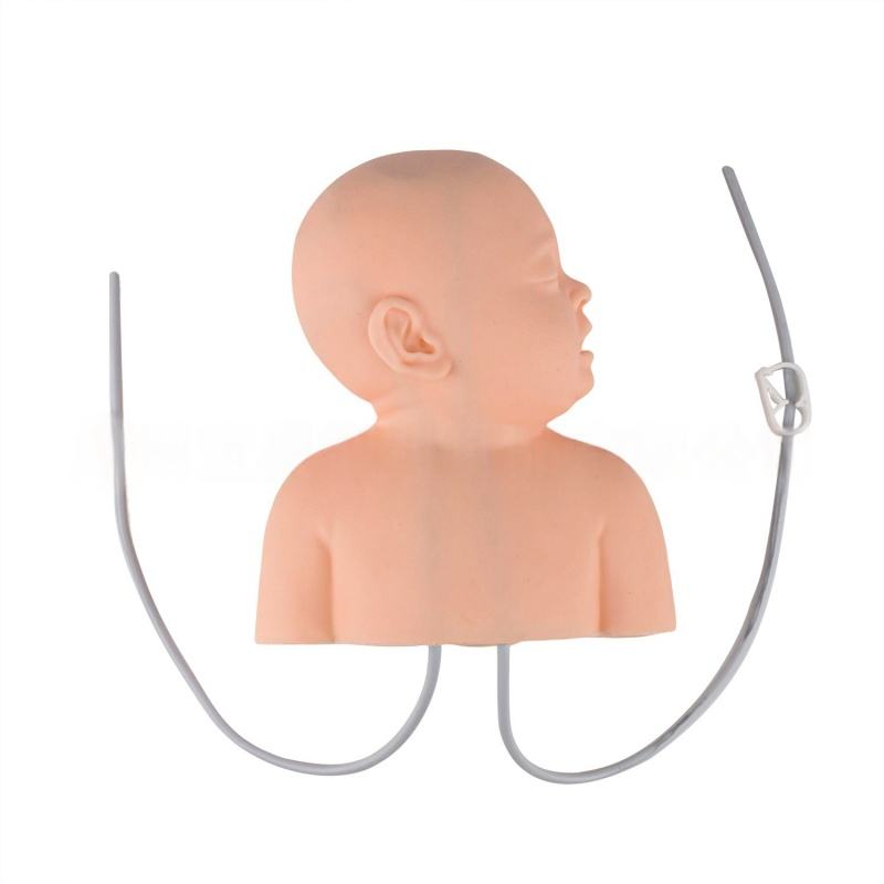 Infant Head Venipuncture Training Manikin for Pediatric IV Injection ...