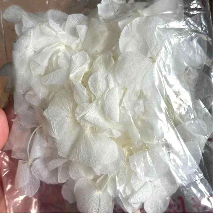 1kg White Best Quality Hand Picked Natural Dried Preserved Flowers Big ...