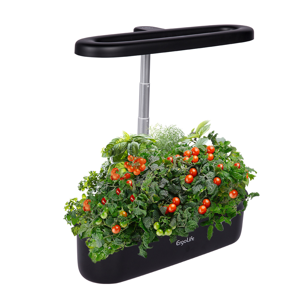How to Choose the Best Mini Hydroponics System for Home Use